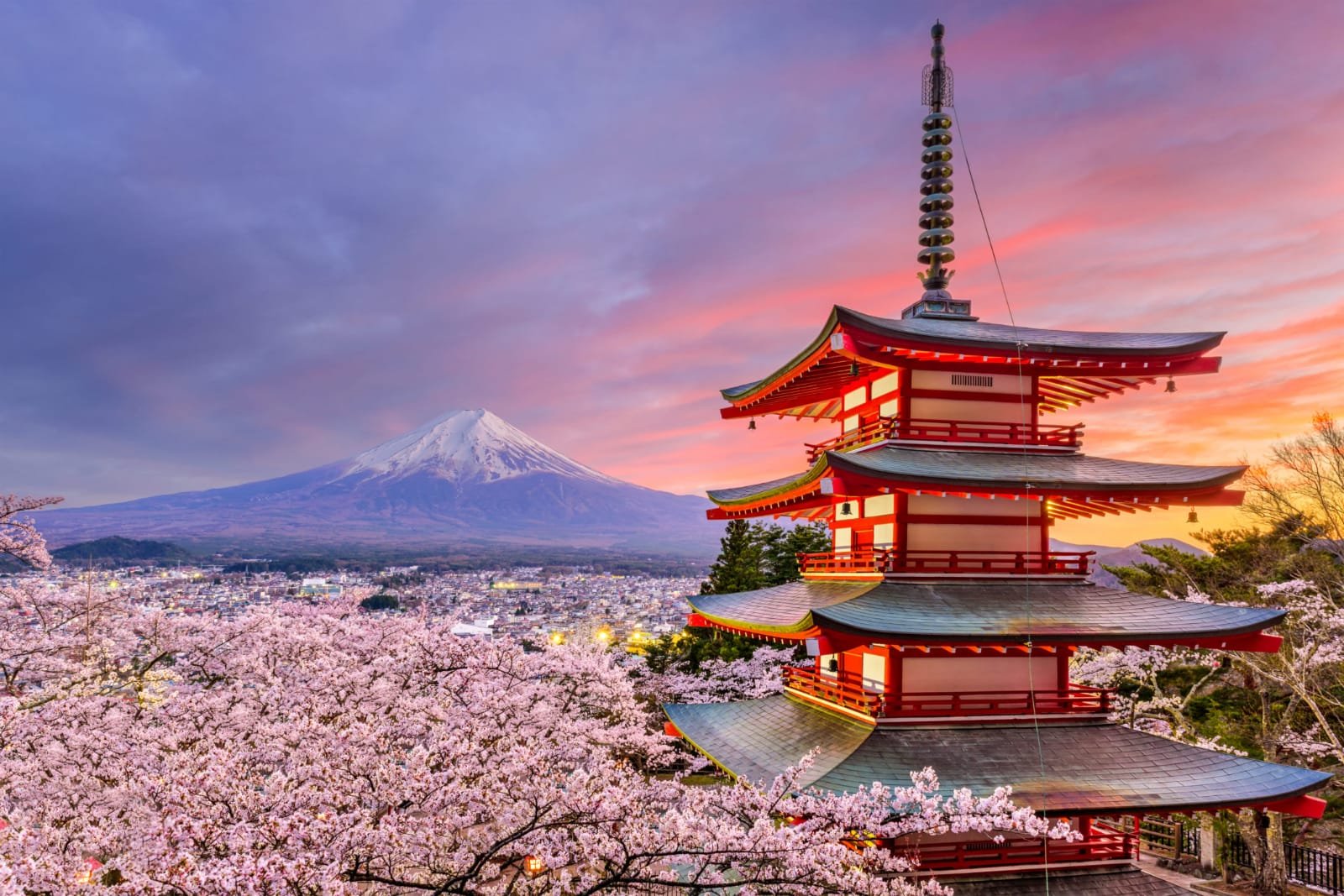 Japan Vitta | About Us